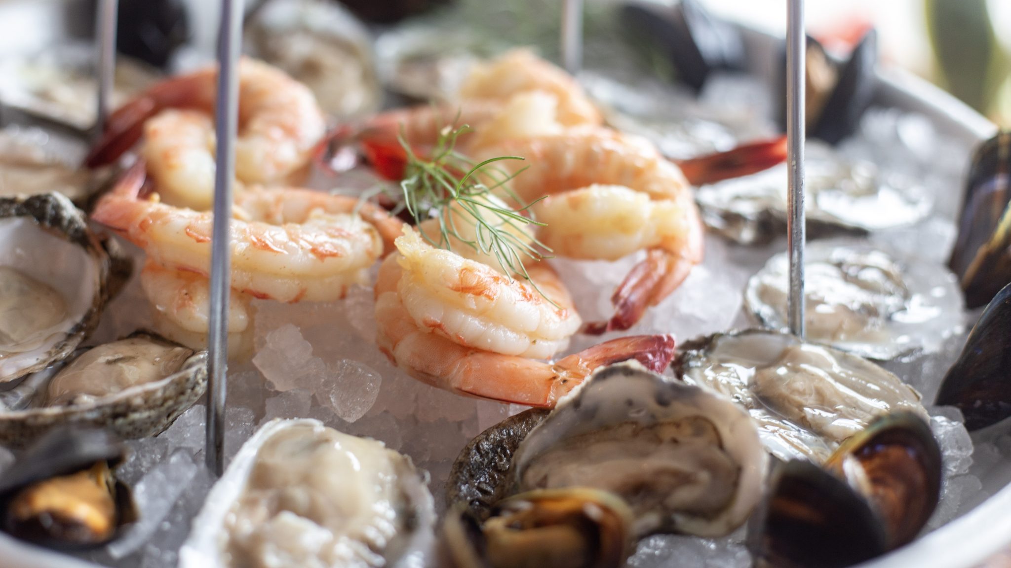 The Long Island Cafe of SC - Fresh Seafood & American Fare